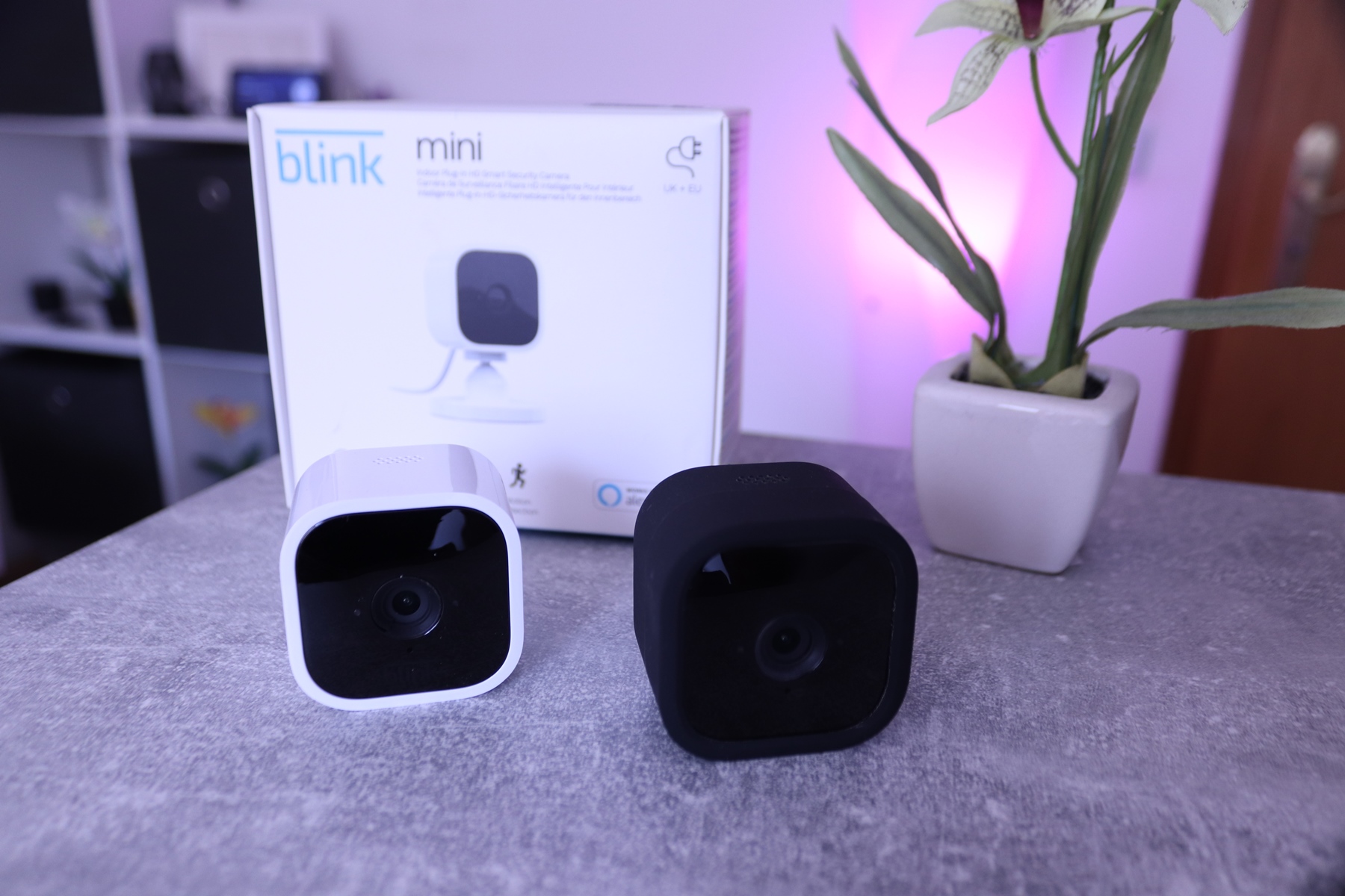 Blink Mini im Test – Alexa Kompatibilität – auch im Außenbereich ...